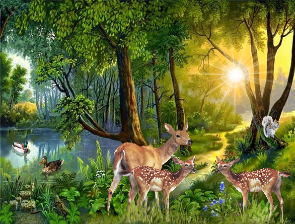 Animaux de la forêt en été au bord de l'eau